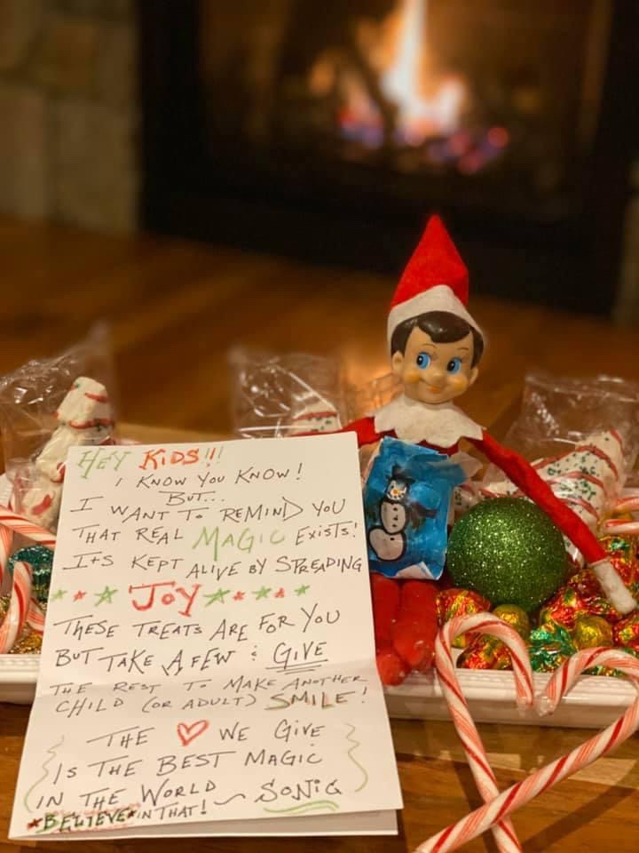 Diary of an Elf on the Shelf – Raise Her Wild